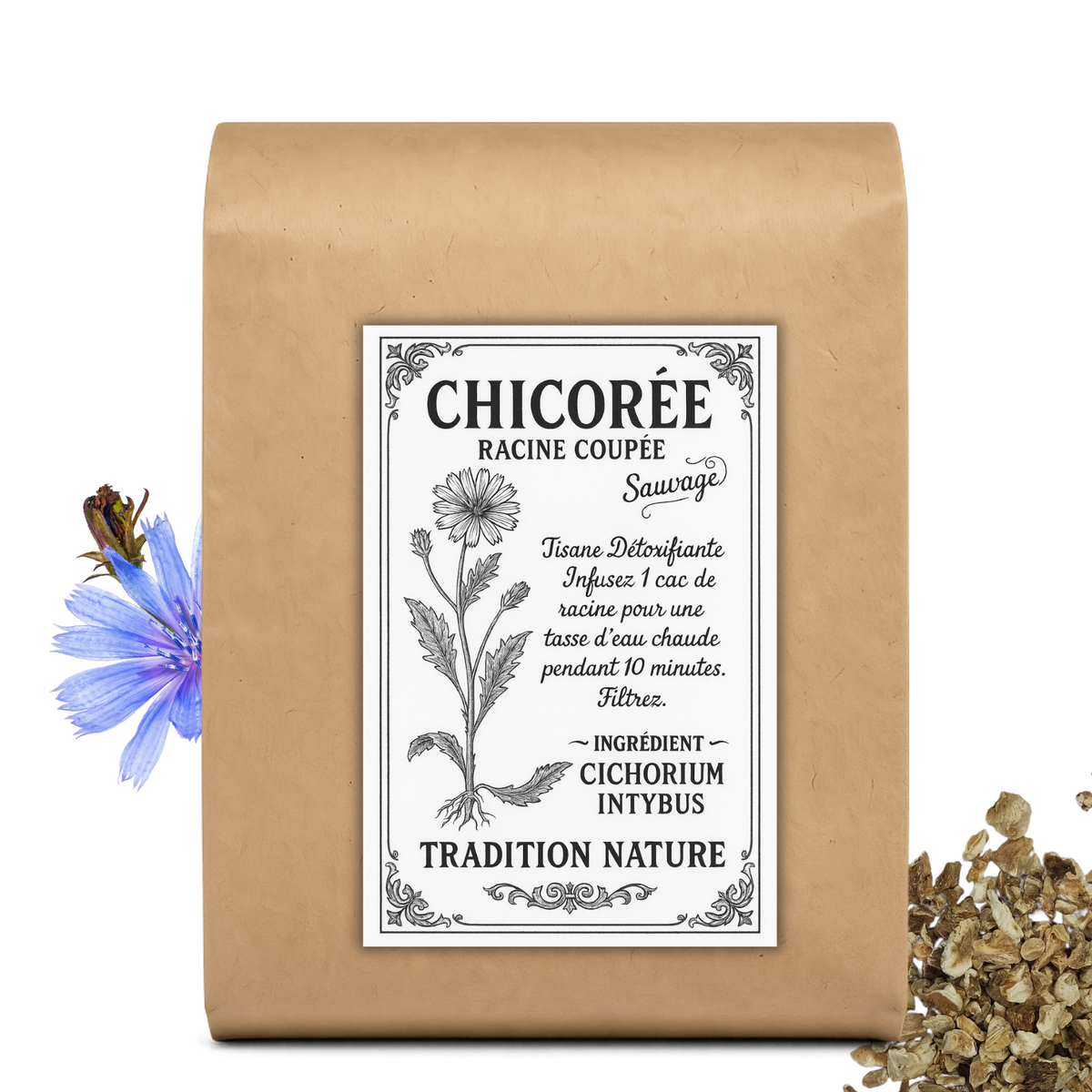 La racine de Chicorée sauvage – Tradition Nature