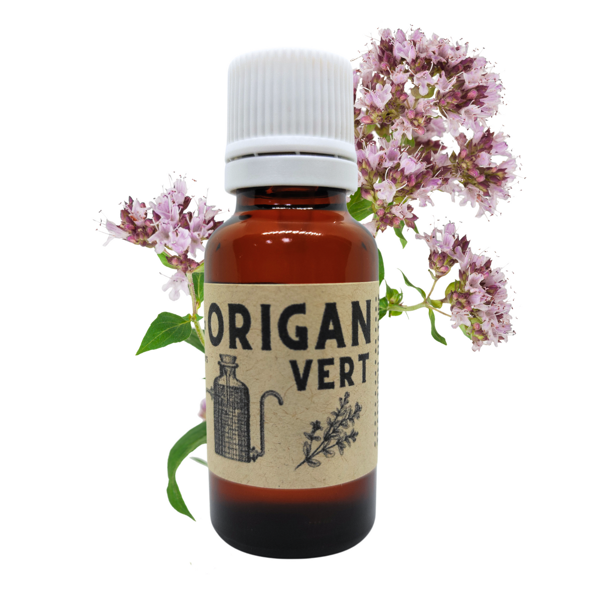 Huile essentielle d'Origan vert | Origine France (Origanum vulgaris ...