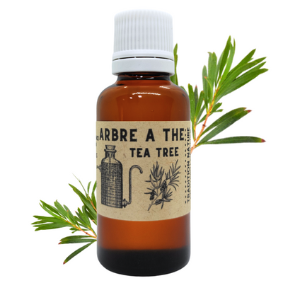 Armoise Annuelle (Artemisia annua L.) : Bienfaits, Propriétés et Utili ...