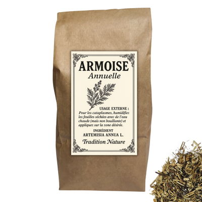 Armoise Annuelle (Artemisia annua L.) : Bienfaits, Propriétés et Utili – Tradition Nature
